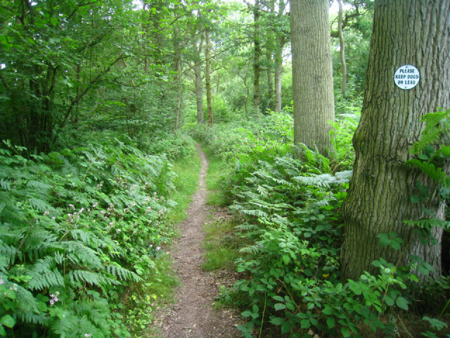 Peter Lauria – Life Experience Coaching – Business and Life Experience ...